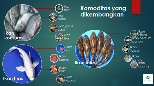 Kawasan Perikanan Darat Ciparanje – FPIK Unpad
